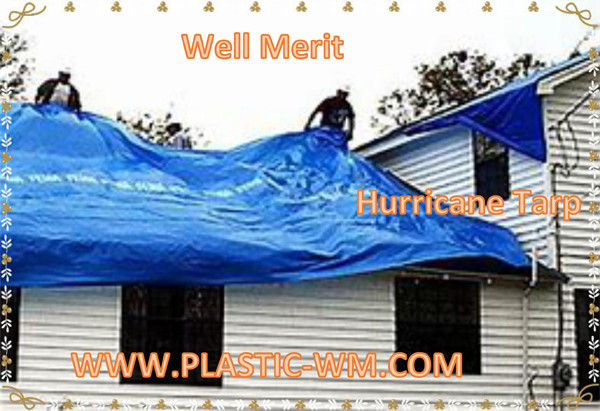 Waterproof Roofing Blue Tarps Hurricane Tarps Cover Multi-purpose Poly ...